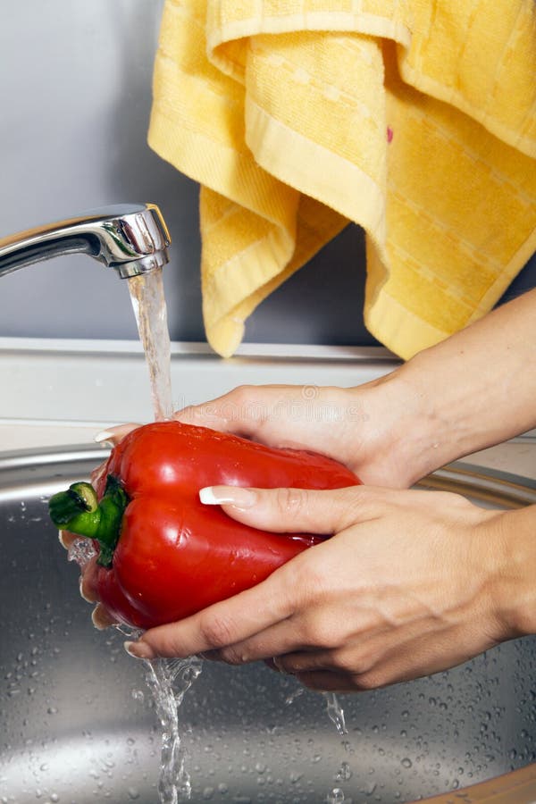 Washing pepper stock photo. Image of home, washbasin, healthy - 1605206