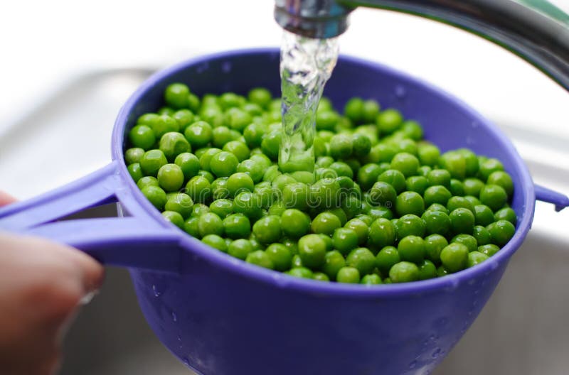 Washing peas stock photo. Image of kitchen, fresh, running - 6176264