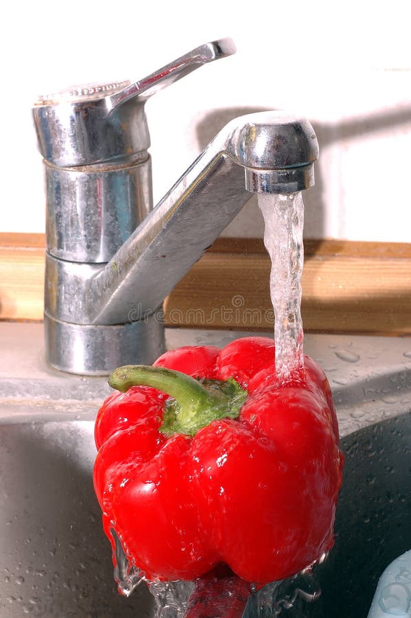 Washing pepper stock photo. Image of home, washbasin, healthy - 1605206