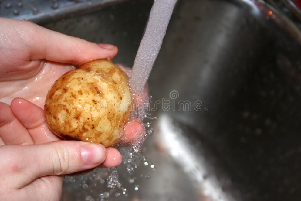 Washing Potatoes stock image. Image of hands, potatoes - 916465