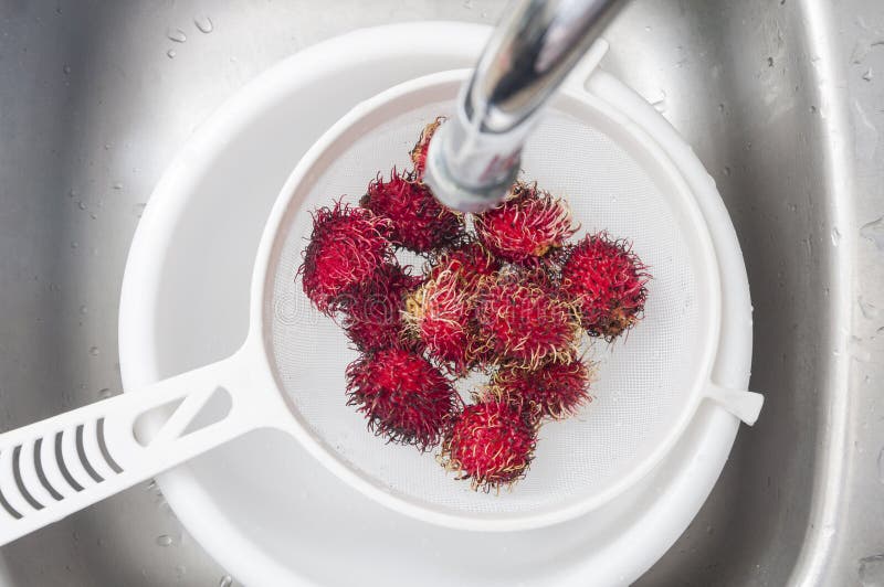 Washing rambutan stock photo. Image of healthy, sink - 88439684