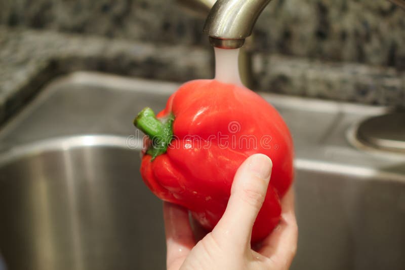 Washing red pepper stock image. Image of prepare, sink - 331047995