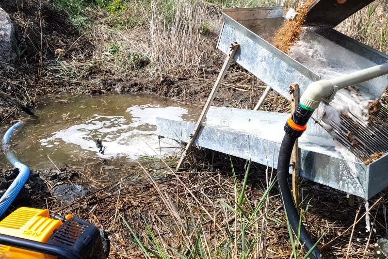 Washing Rock Containing Gold. Search and Extraction of Gold Stock Photo ...
