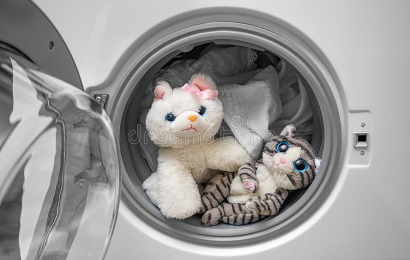 Washing Soft Toys in the Washing Machine. Stock Photo - Image of ...