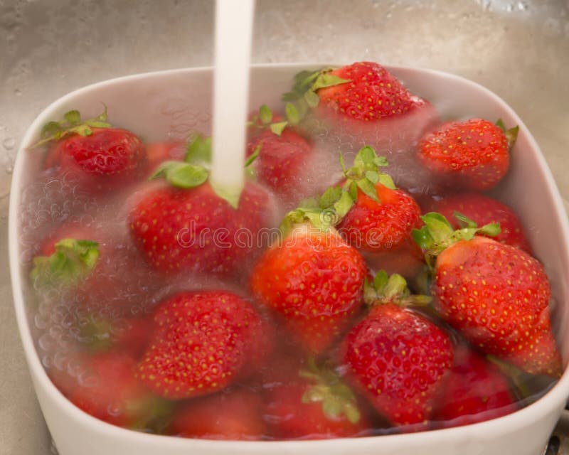 Washing berries stock photo. Image of berries, bright, fresh - 603636