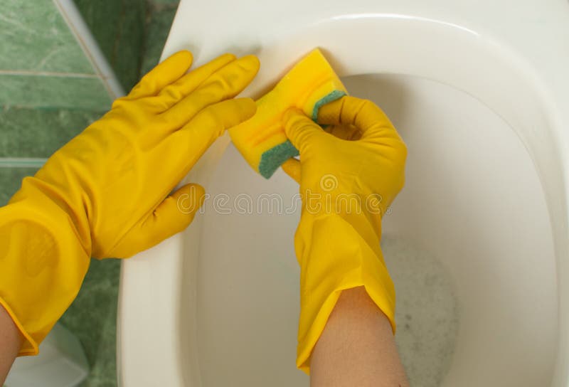 Gloved Hands Washing the Toilet Stock Image - Image of bowl, products ...