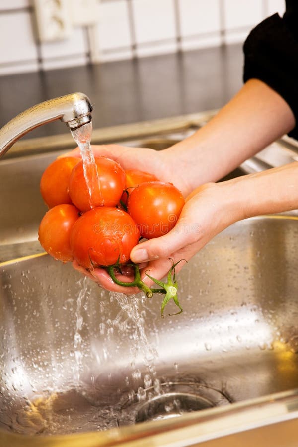 Washing Tomatoes stock photo. Image of wash, produce, kitchen - 3192058