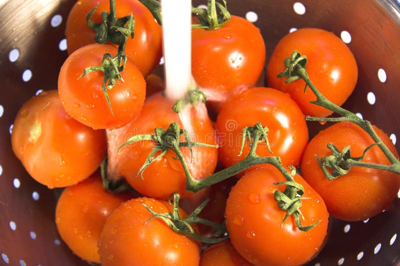 Washing tomatoes close up stock photo. Image of kitchen - 1868820