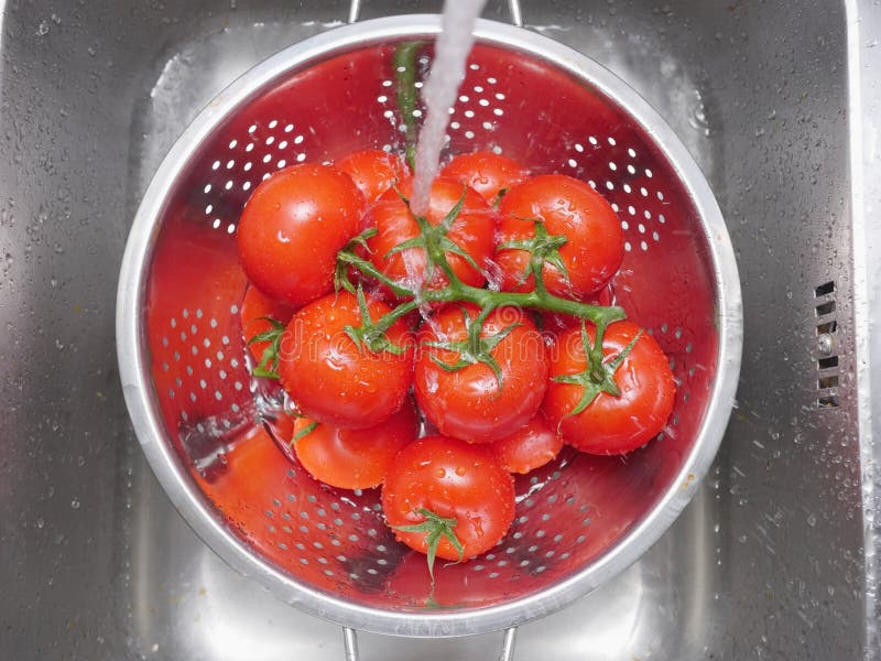 Washing tomatoes stock image. Image of fresh, salad, motion - 42365531