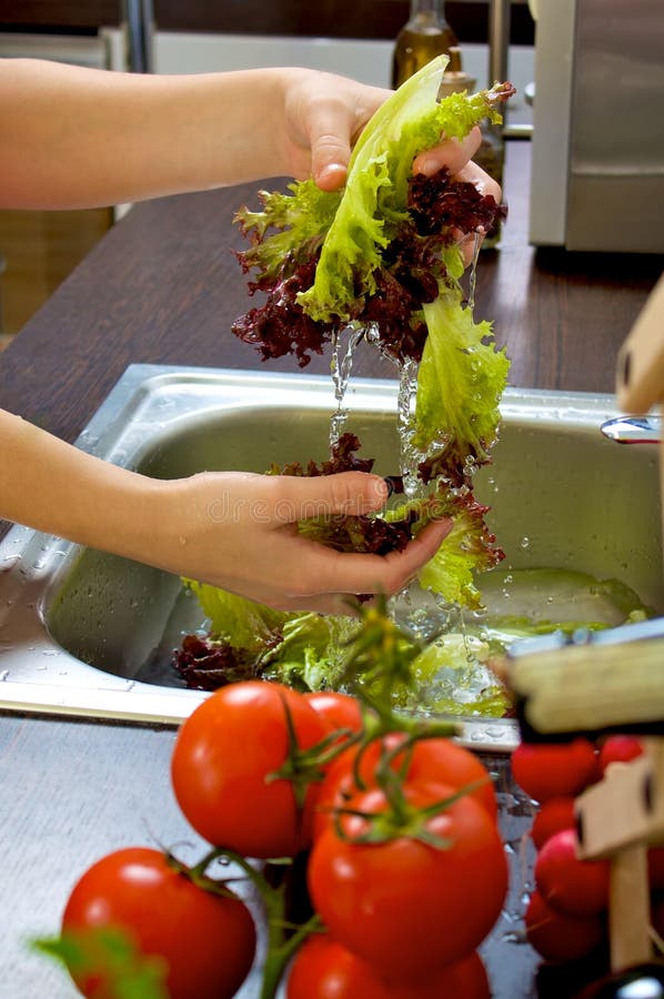 Washing vegetables stock photo. Image of green, meal - 11678590