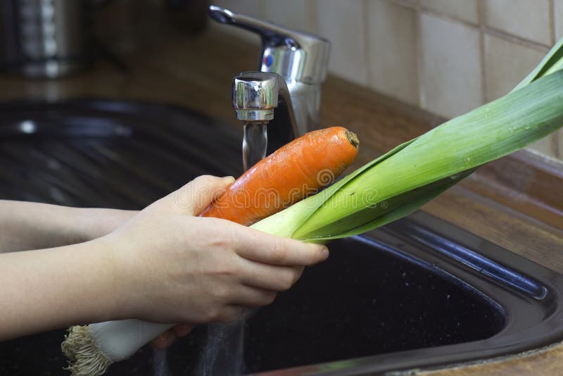 Washing vegetables stock image. Image of dinner, nature - 17955951