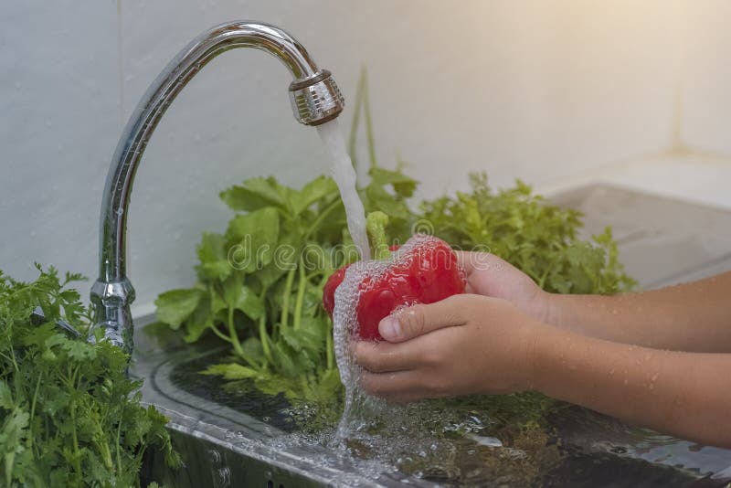 Washing vegetables stock photo. Image of green, pouring - 88389740