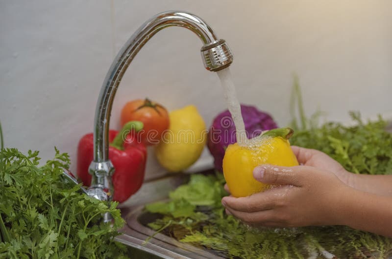 Washing vegetables stock image. Image of holding, hand - 88389817