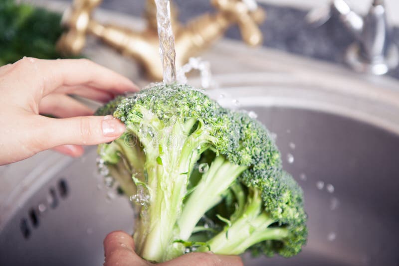 Washing vegetables stock photo. Image of green, clean - 67950872