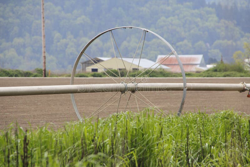 Washington Wheel Line Irrigation Stock Photo - Image of northwest ...