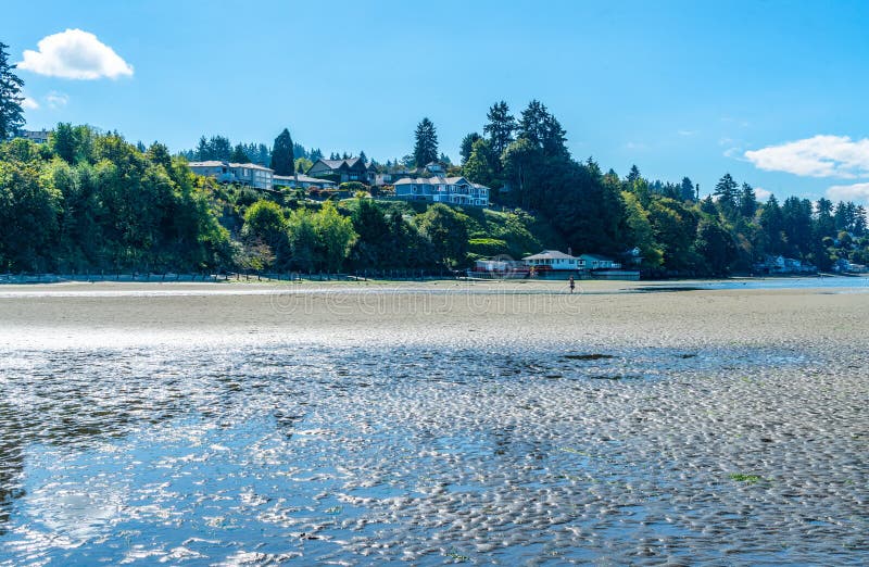 Washington Beach Homes stock photo. Image of shoreline - 340869990