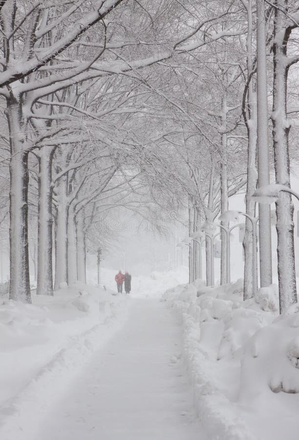 Washington, DC blizzard stock photo. Image of weather - 12892258