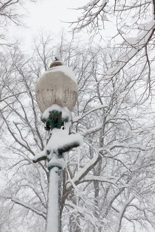 Washington, DC blizzard stock image. Image of freezing - 12892277