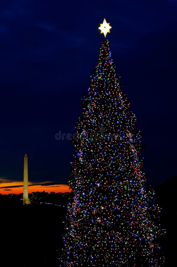 Washington DC Christmas Tree Stock Image - Image of light, sunset: 17400895