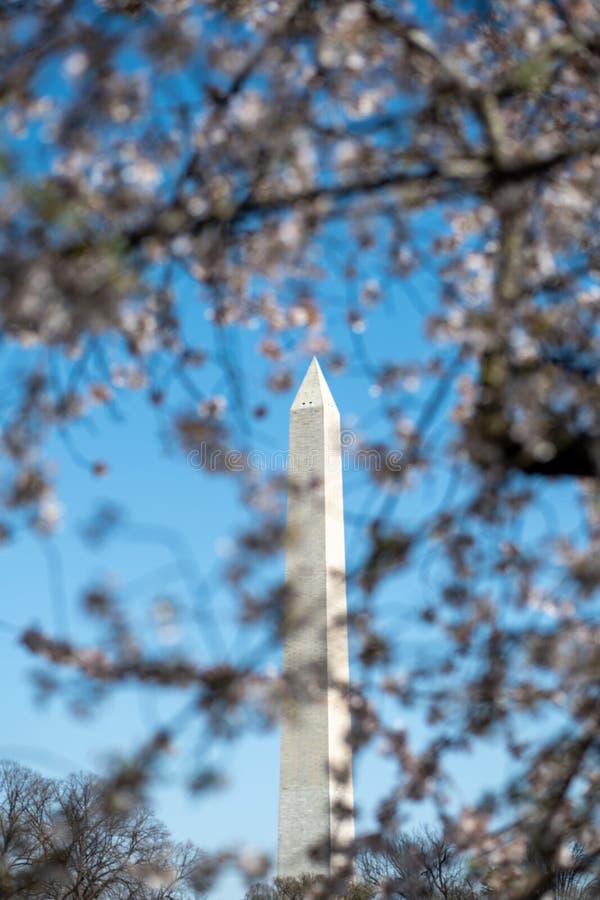 Washington, DC - March 15 2022: Washington Monument in Spring Stock ...