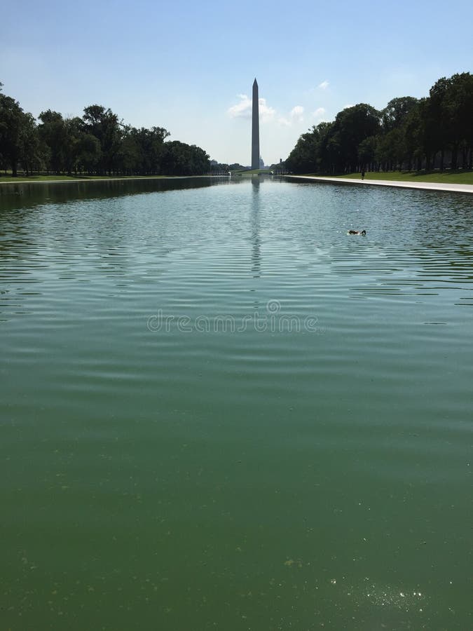 Washington DC Monument Summer View Stock Image - Image of fantastic ...