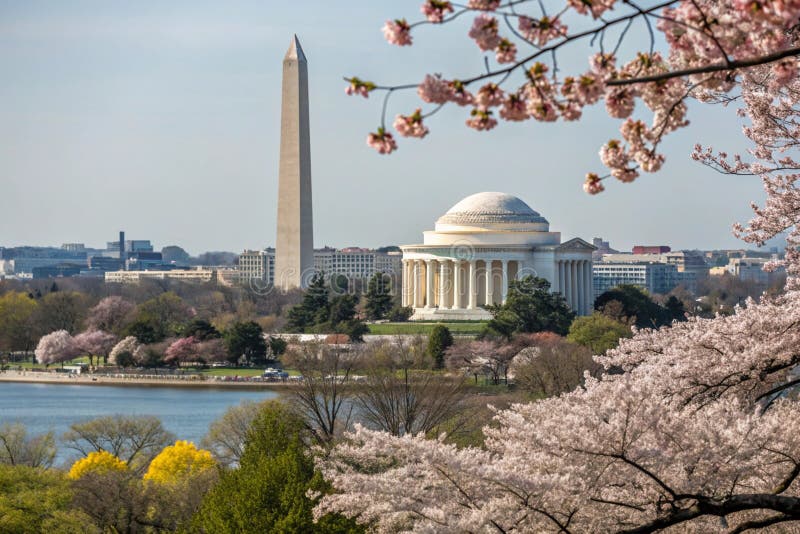 Washington DC Panorama stock illustration. Illustration of spring ...