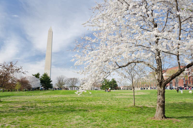 Washington DC in spring stock photo. Image of tourism - 19589774