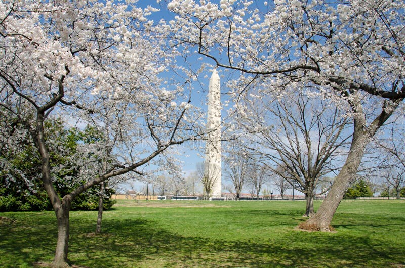 Washington DC in spring stock image. Image of tourism - 19589787