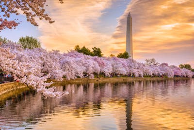 Washington DC in Spring stock image. Image of river - 110540983