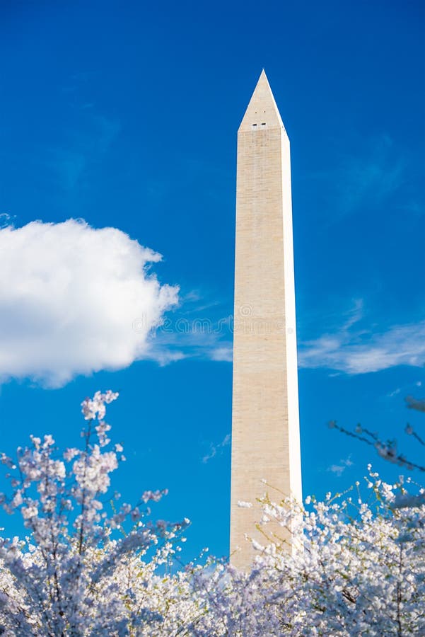 Washington DC in Spring stock image. Image of park, daytime - 171340247
