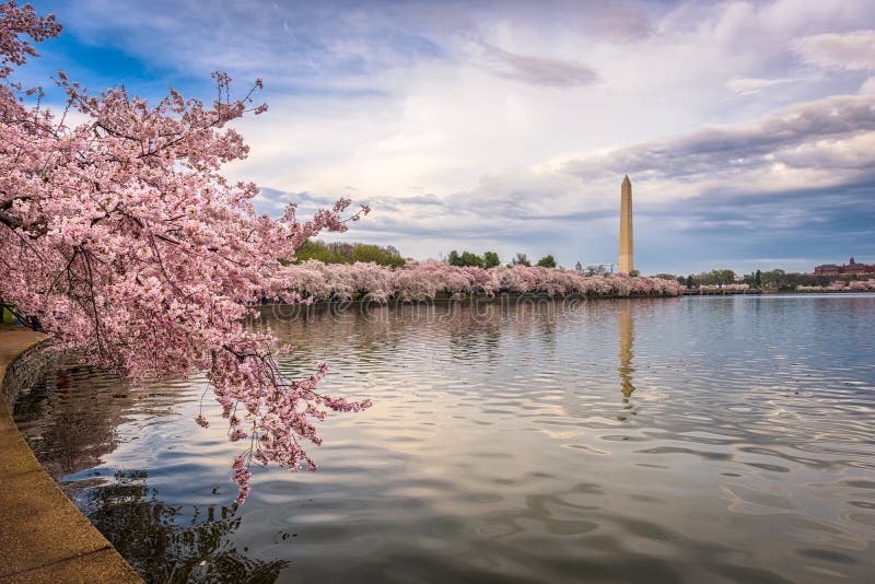 Washington DC in Spring stock image. Image of evening - 111149473