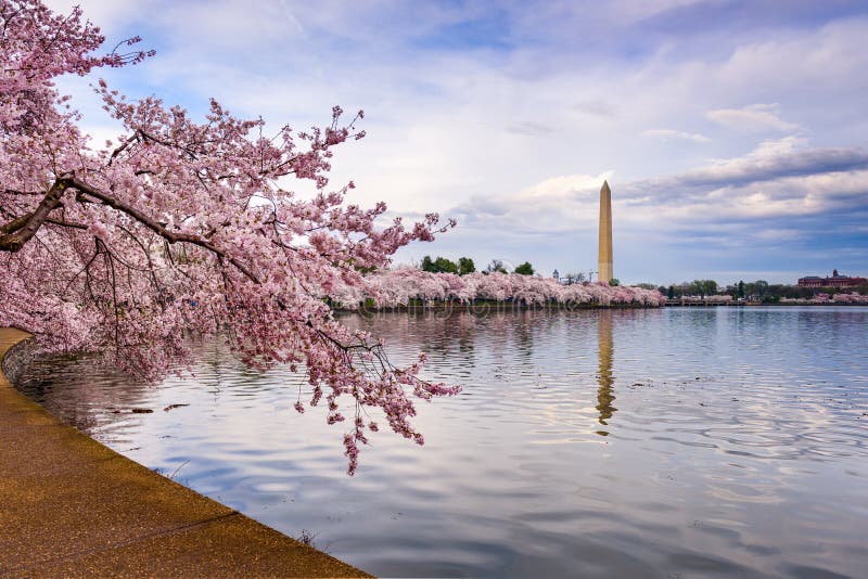 Washington DC in Spring stock image. Image of night, basin - 82261959
