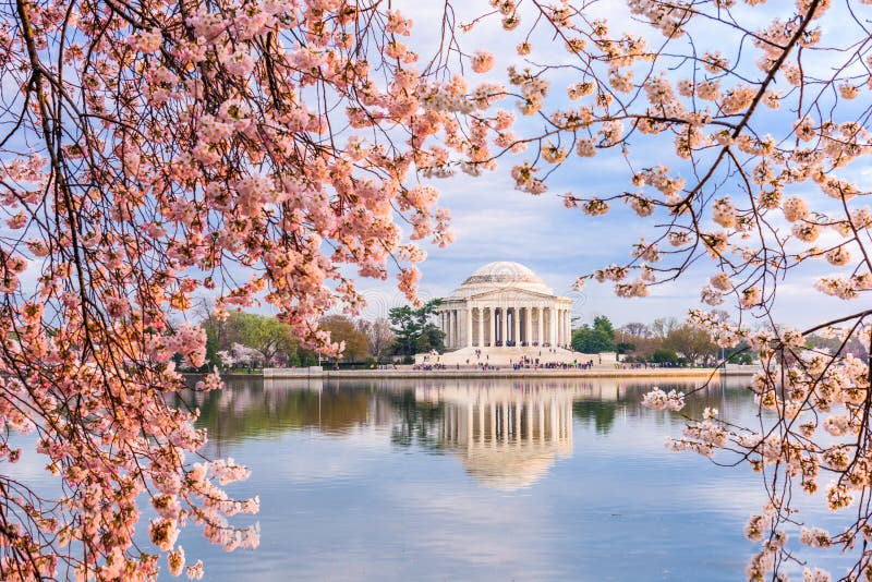 Washington, DC at the Tidal Basin and Jefferson Memorial Stock Photo ...
