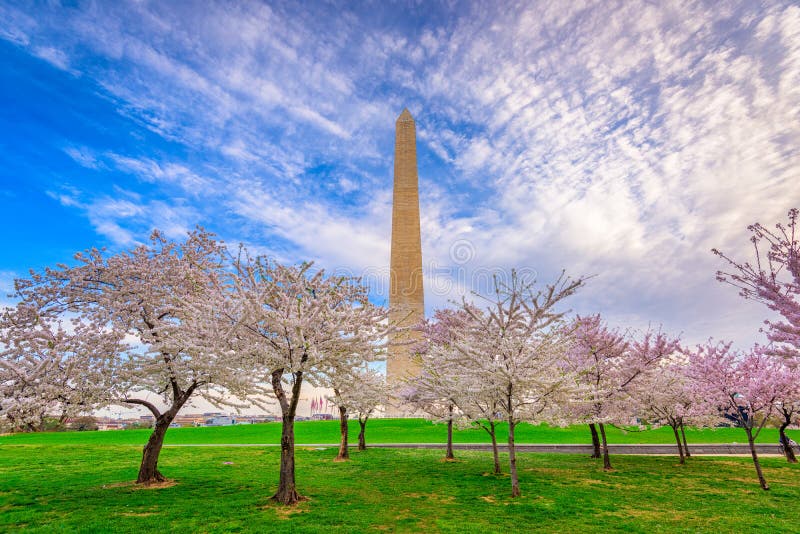 Washington DC, USA in Spring Season Stock Photo - Image of capital ...