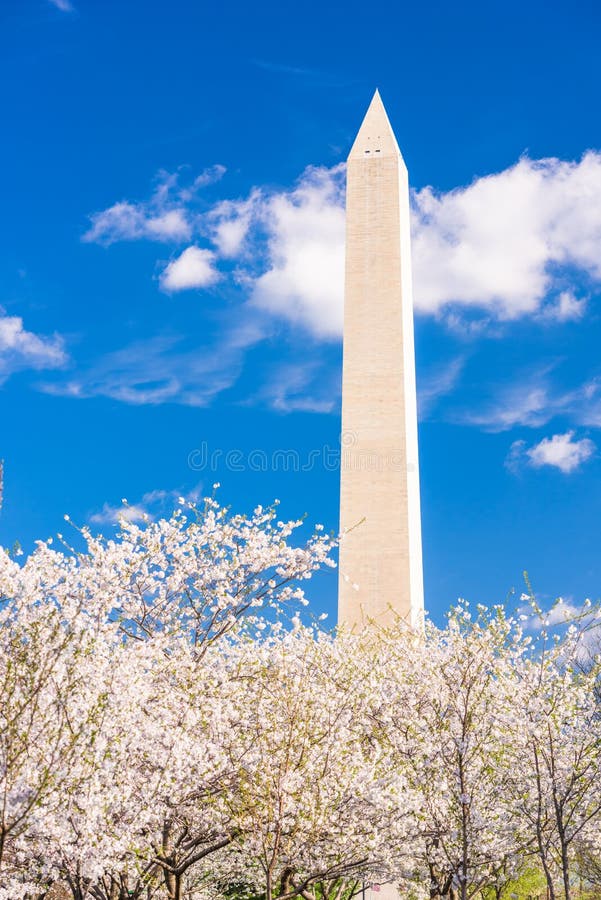 Washington DC, USA in Spring Season with Cherry Blossoms Stock Image ...
