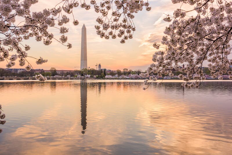 Washington DC, USA in Spring Stock Image - Image of memorial, potomac ...