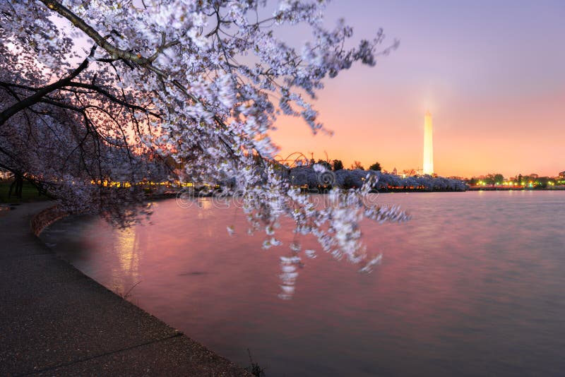Washington DC USA at the Tidal Basin with Washington Monument Stock ...