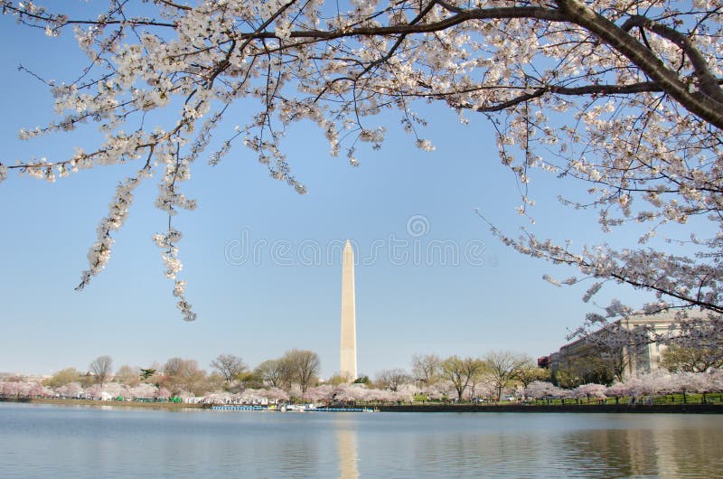 Washington DC, Washington Monument in Spring Stock Photo - Image of ...