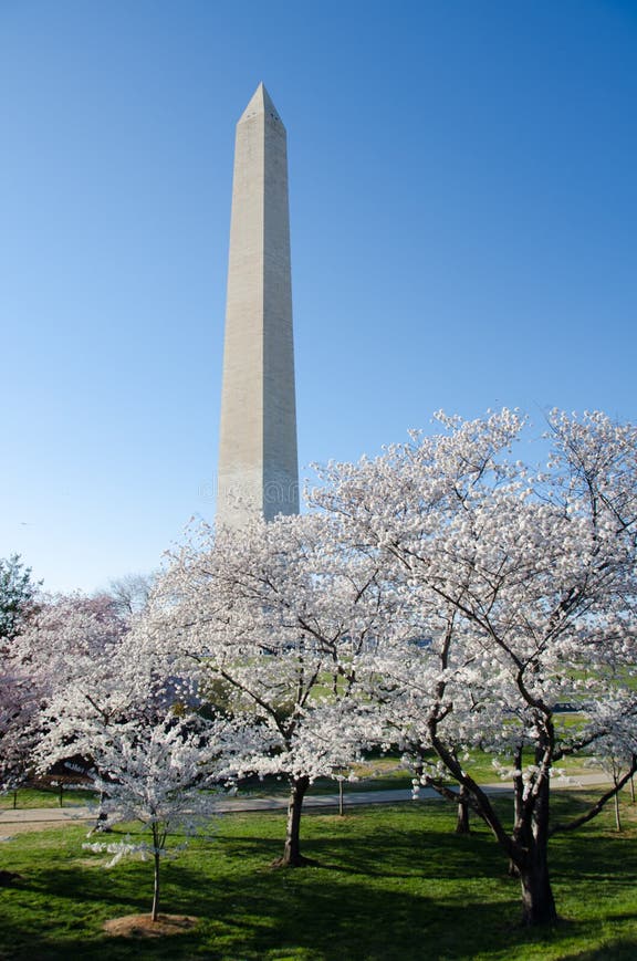 Washington DC, Washington Monument in Spring Stock Image - Image of ...