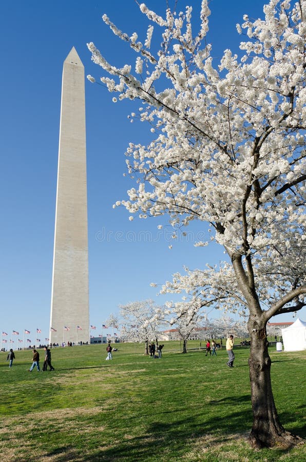 Washington DC, Washington Monument in Spring Stock Image - Image of ...