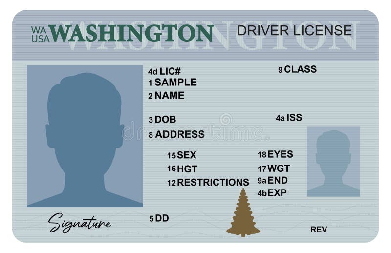 Blank Driver License Stock Illustrations – 178 Blank Driver License ...