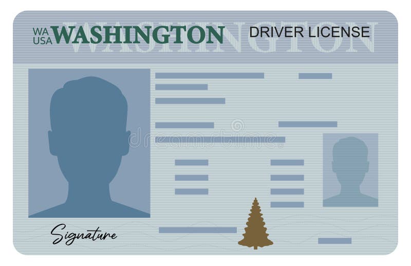Washington Driver License Stock Illustrations – 7 Washington Driver ...