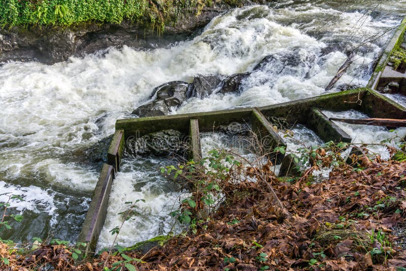 Washington Fish Ladder 7 stock image. Image of outdoors - 267502221