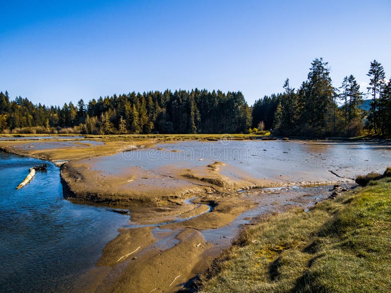 Washington. Landscape View of Trees and Water on a Sunny Afternoon in ...