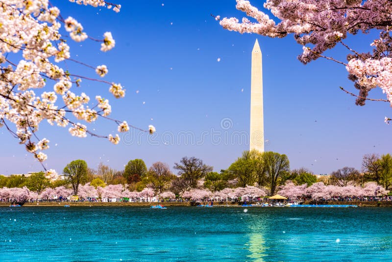 Washington Monument stock image. Image of scenery, spring - 54053823