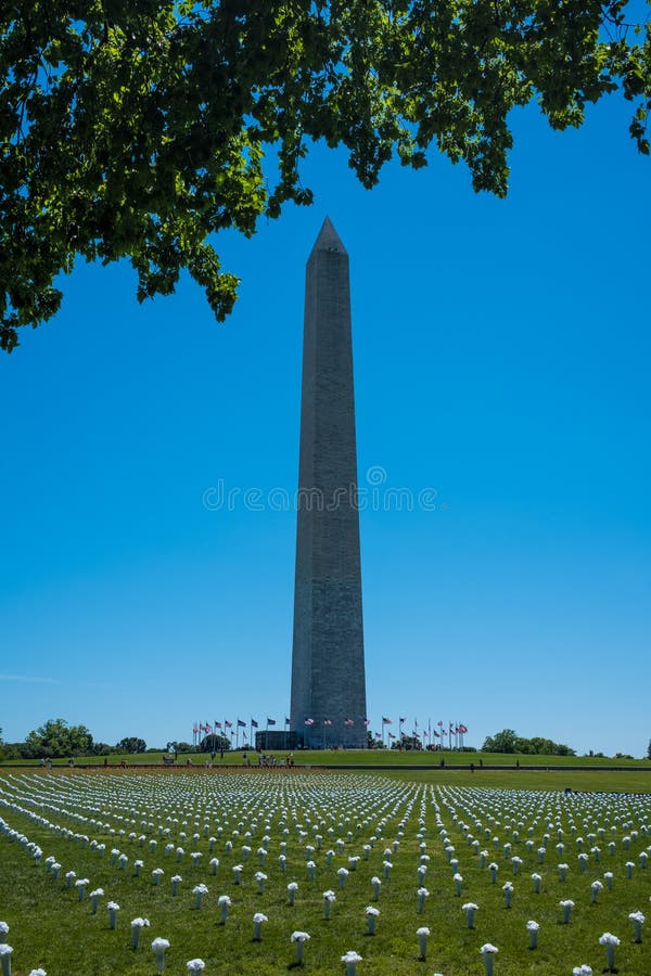 Washington Monument in Washington DC in the Summertime Stock Photo ...