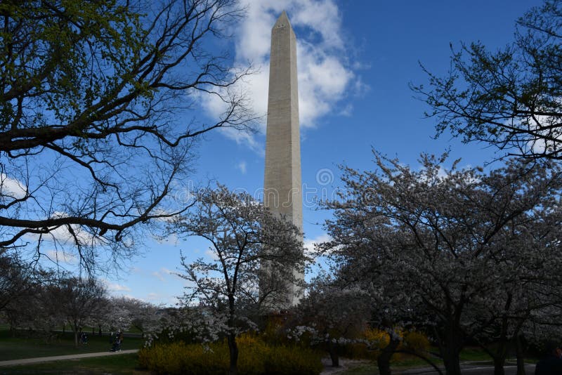 Washington Monument in Washington DC Editorial Stock Image - Image of ...