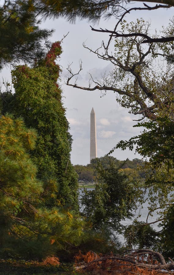 Washington Monument Framed by Trees in Fall As Seen from the Opposite ...