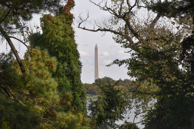 Washington Monument Framed by Trees in Fall As Seen from the Opposite ...