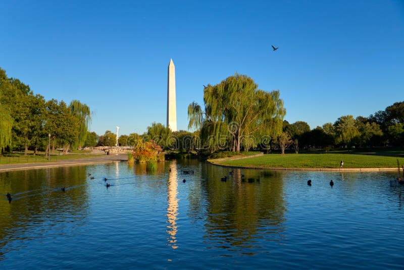 Washington Monument in the Park Stock Photo - Image of bird, government ...
